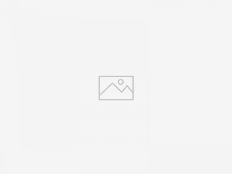 Mono Carton Vishal Containers Ltd